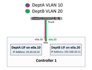 NetApp Logical Interfaces (LIFs) Tutorial - FlackBox