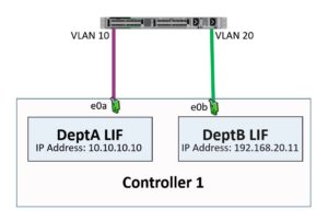 NetApp VLANs Networking Tutorial - FlackBox