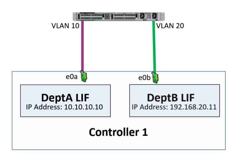 NetApp VLANs Networking Tutorial - FlackBox