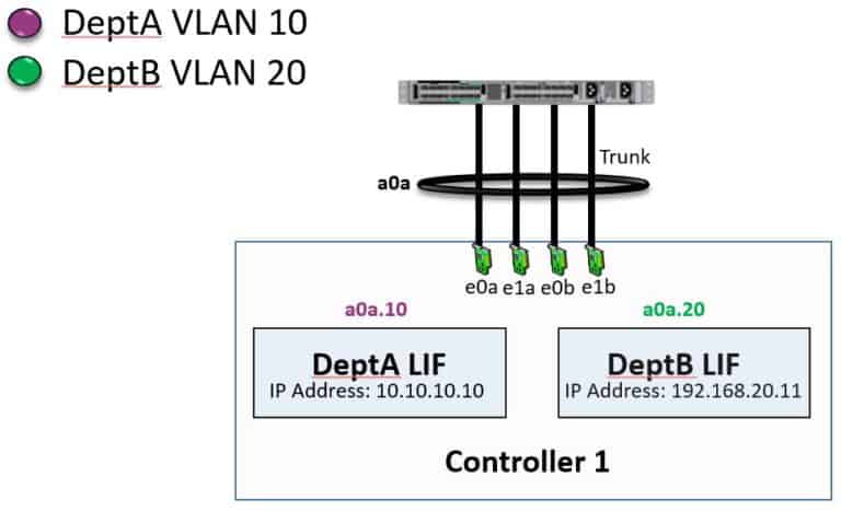 NetApp VLANs Networking Tutorial - FlackBox