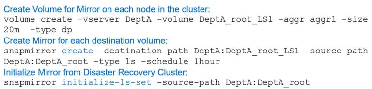 NetApp Load Sharing Mirrors Tutorial - FlackBox