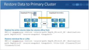 NetApp SnapVault Tutorial - FlackBox