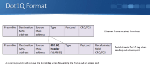 VLAN Trunk Ports - Cisco CCNA Tutorial - FlackBox