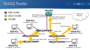 VLAN Trunk Ports - Cisco CCNA Tutorial - FlackBox