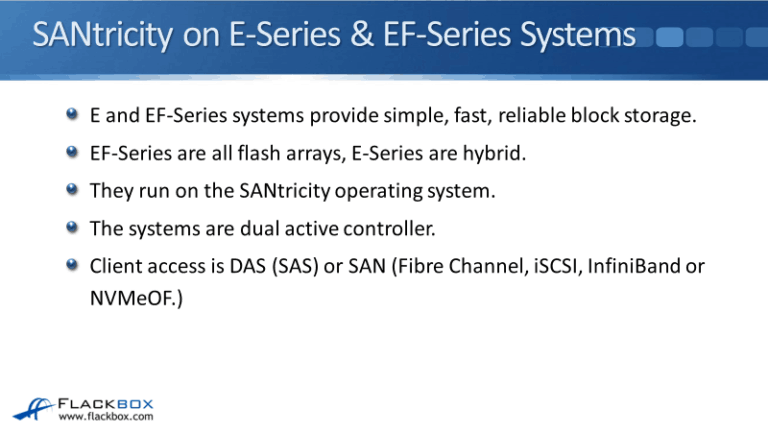 NetApp SANtricity Platforms Overwiew: E and EF Series - FlackBox