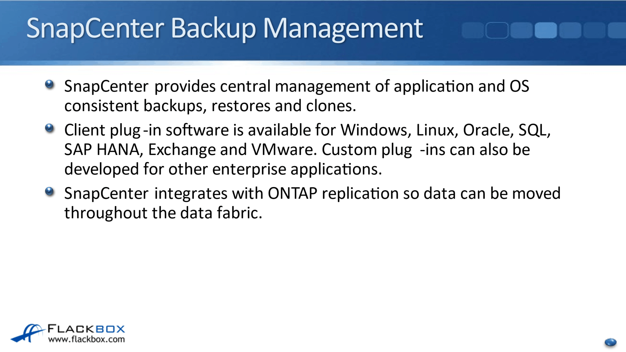 NetApp Centralized Management Software - FlackBox