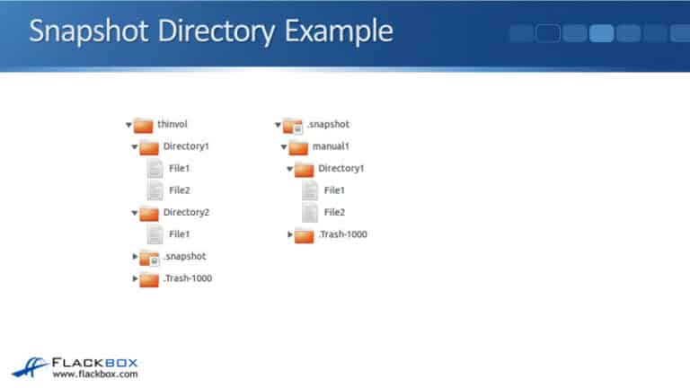 NetApp Snapshot Restores - FlackBox