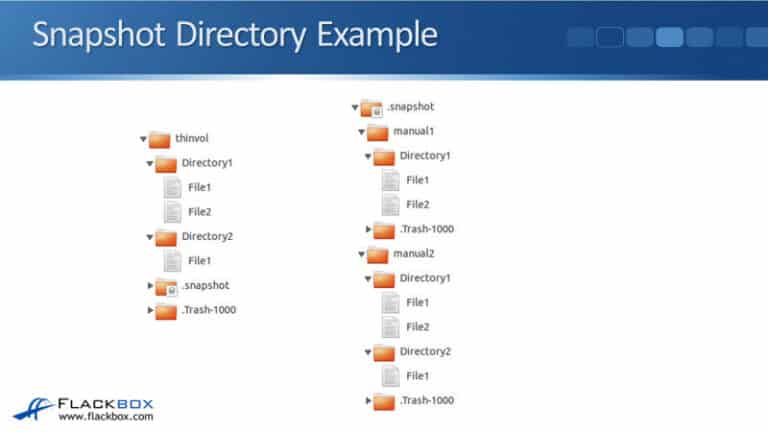 NetApp Snapshot Restores - FlackBox