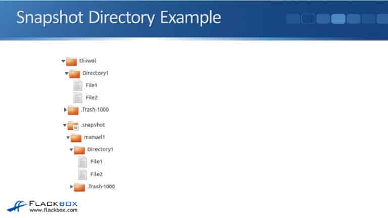 NetApp Snapshot Restores - FlackBox